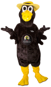 About Us | Fiesta Franchise